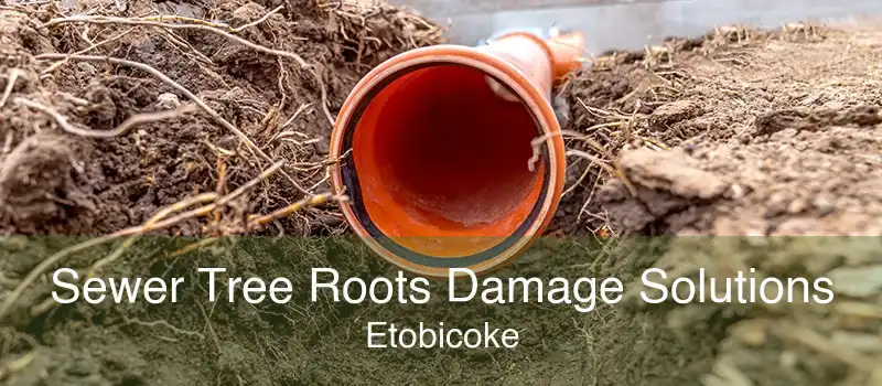 Sewer Tree Roots Damage Solutions Etobicoke - Hydro Jetting Services ...